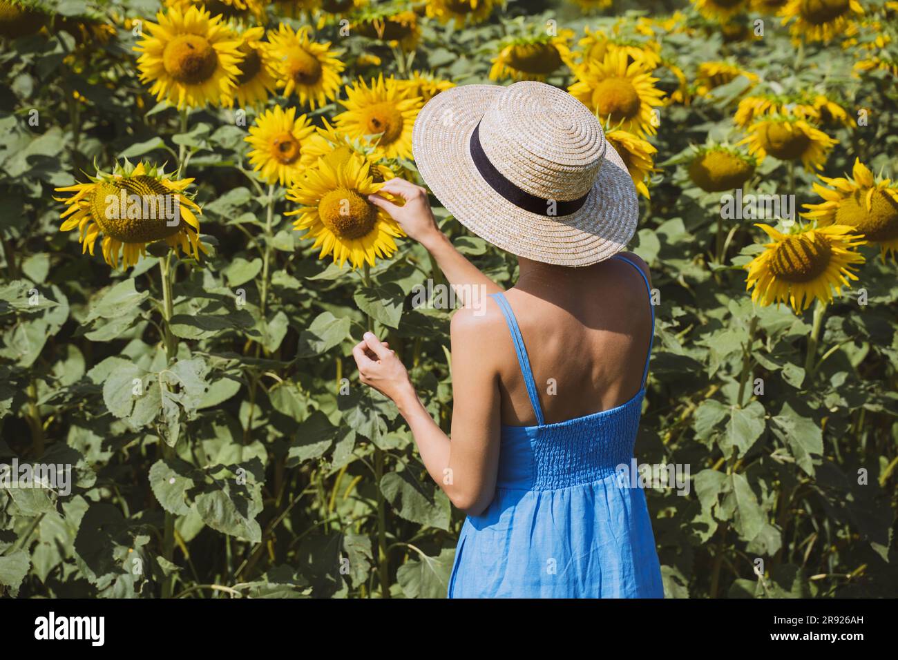Woman wearing sunflower hat hi-res stock photography and images - Alamy