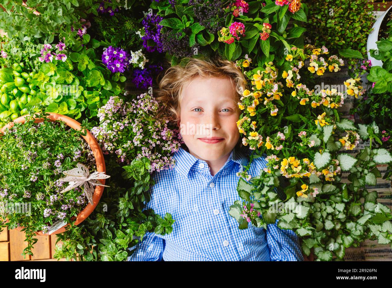 Smiling boy lying down amidst colorful plants Stock Photo - Alamy