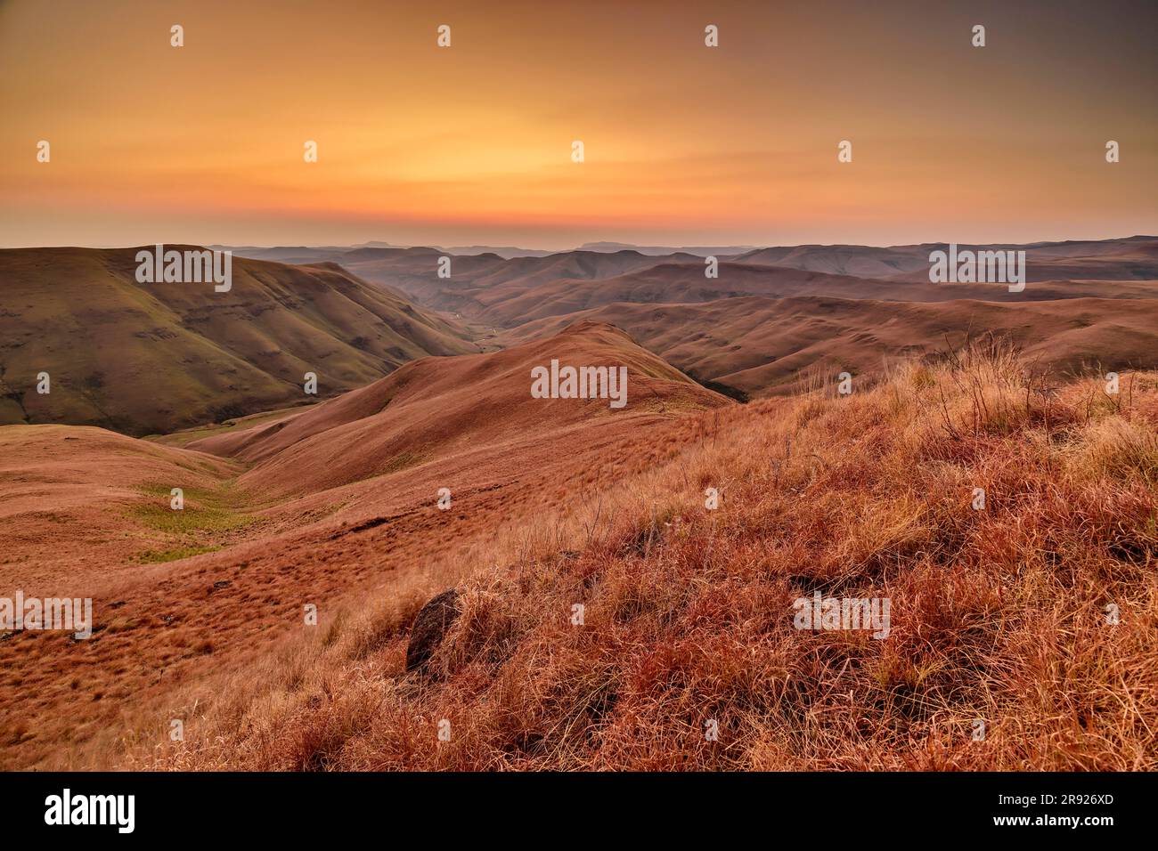 Scenic view of Giant's Castle valley from Langalibalele ridge at sunset ...