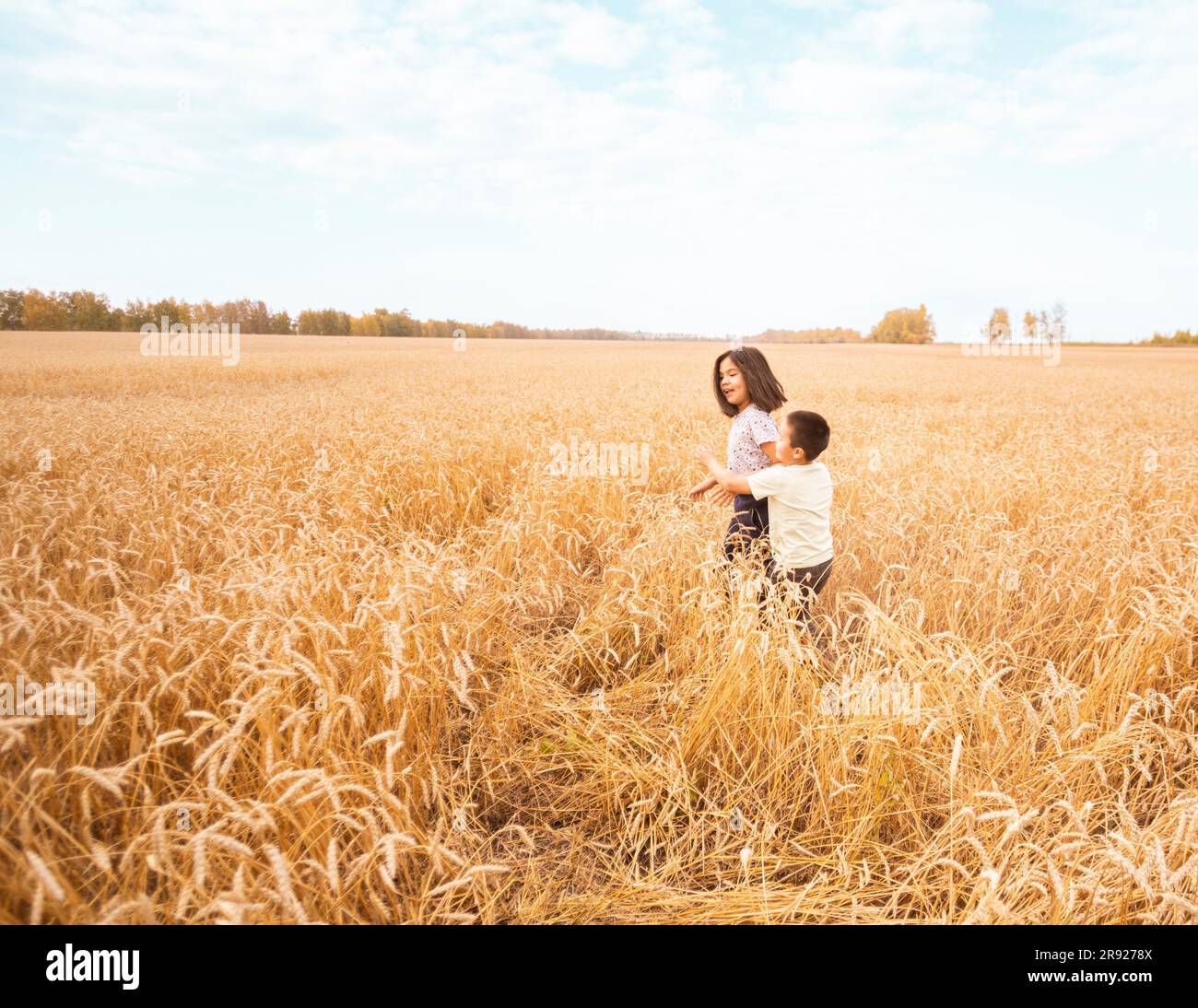 Boy girl playing farm hi-res stock photography and images - Alamy