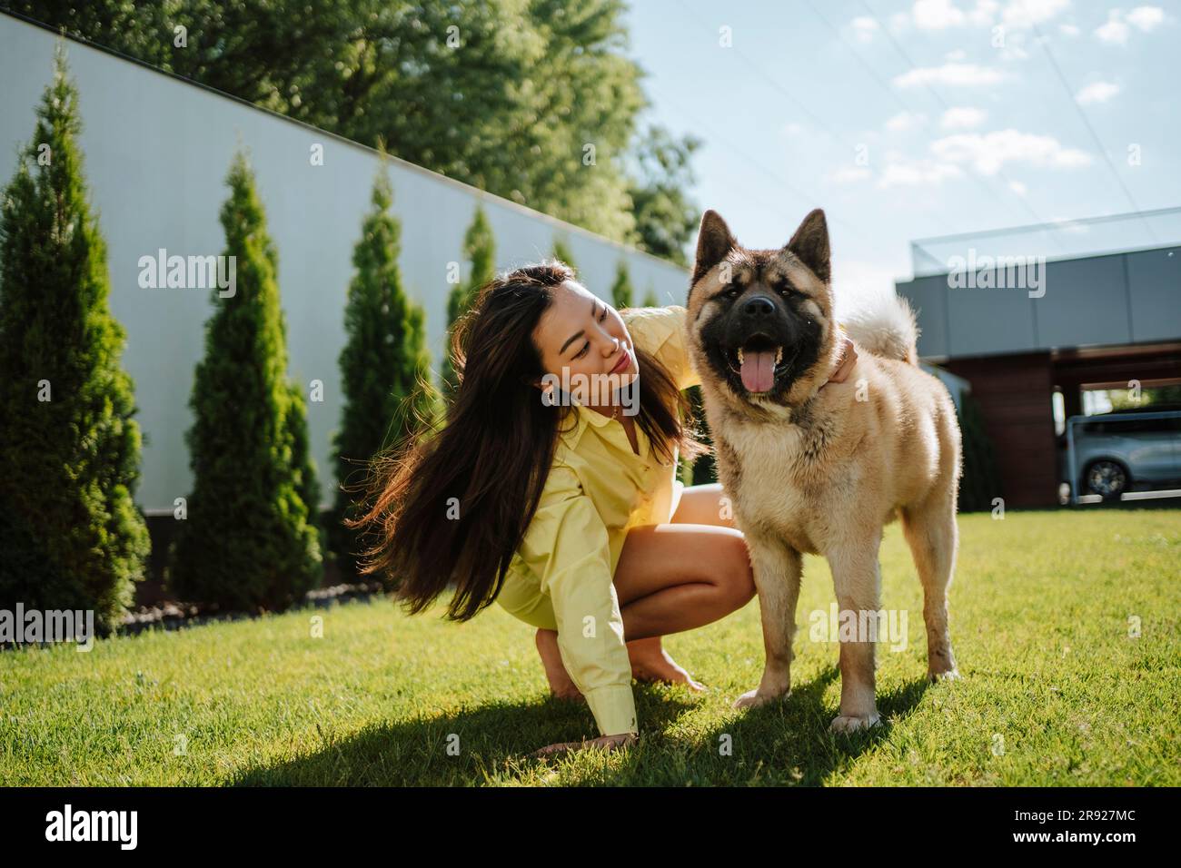 Crouching dog hi-res stock photography and images - Alamy