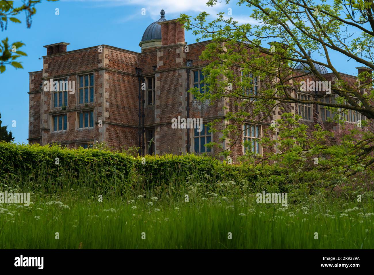 Doddington Hall Lincolnshire, growing sweet peas, fragrance, Victorian ...