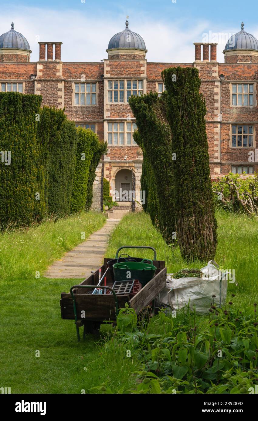 Doddington Hall Lincolnshire, growing sweet peas, fragrance, Victorian ...