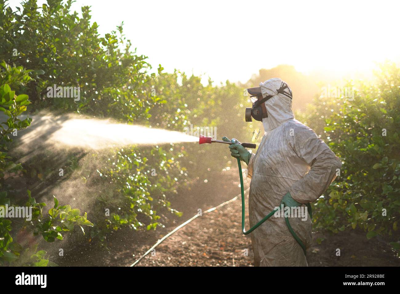 Spraying pesticide hi-res stock photography and images - Alamy