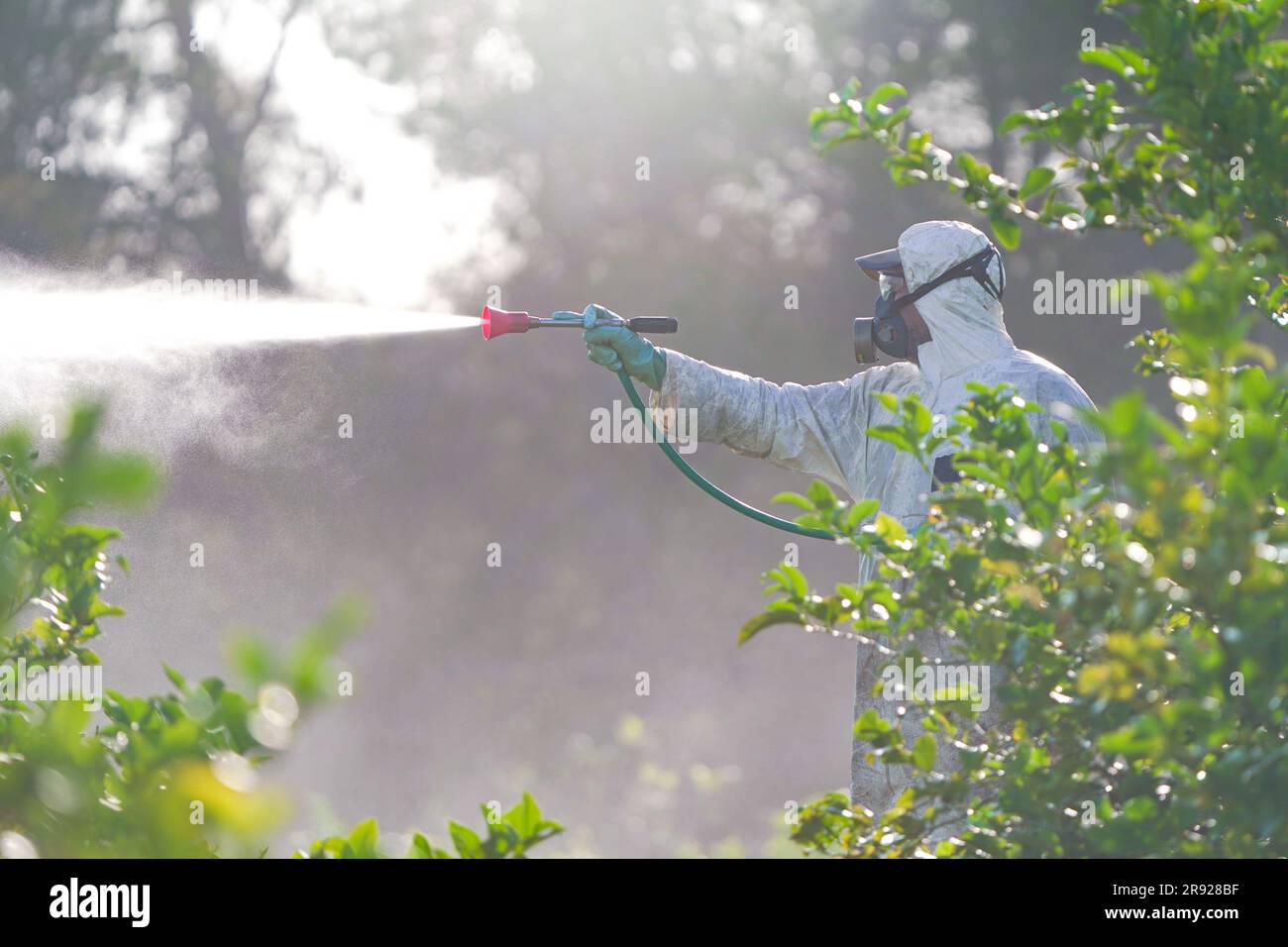 Farm worker spraying pesticide wearing protective suit Stock Photo - Alamy