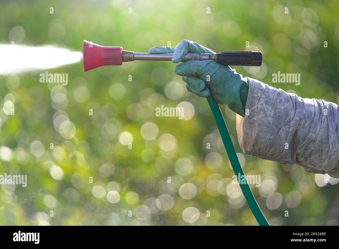 Hand of farm worker spraying pesticide Stock Photo - Alamy