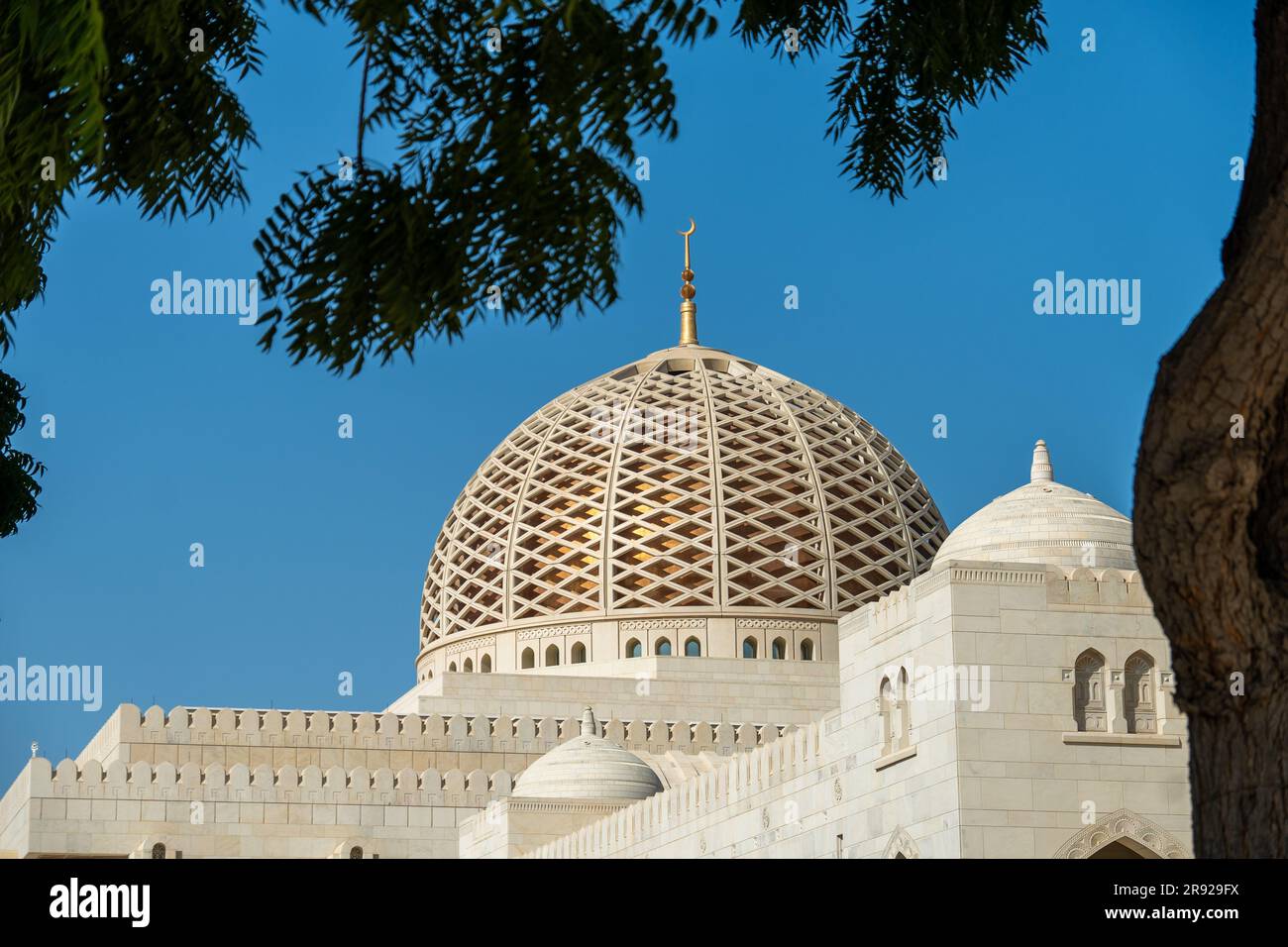 The grand mosque in oman Stock Photo - Alamy