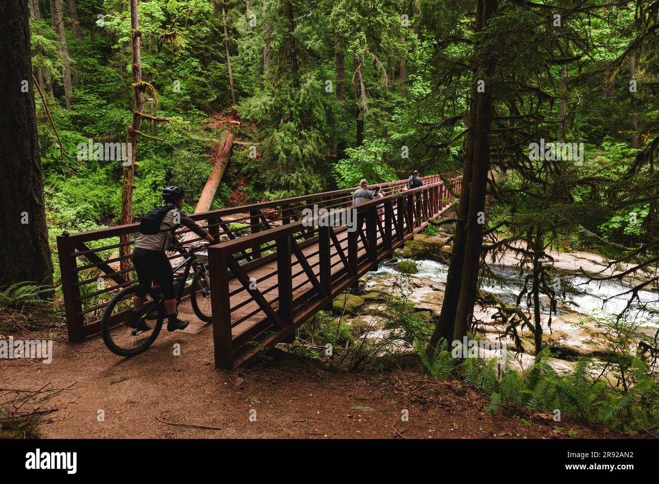 Tourists Crossing Wooden Bridge in Lacamas Park, Washington State ...
