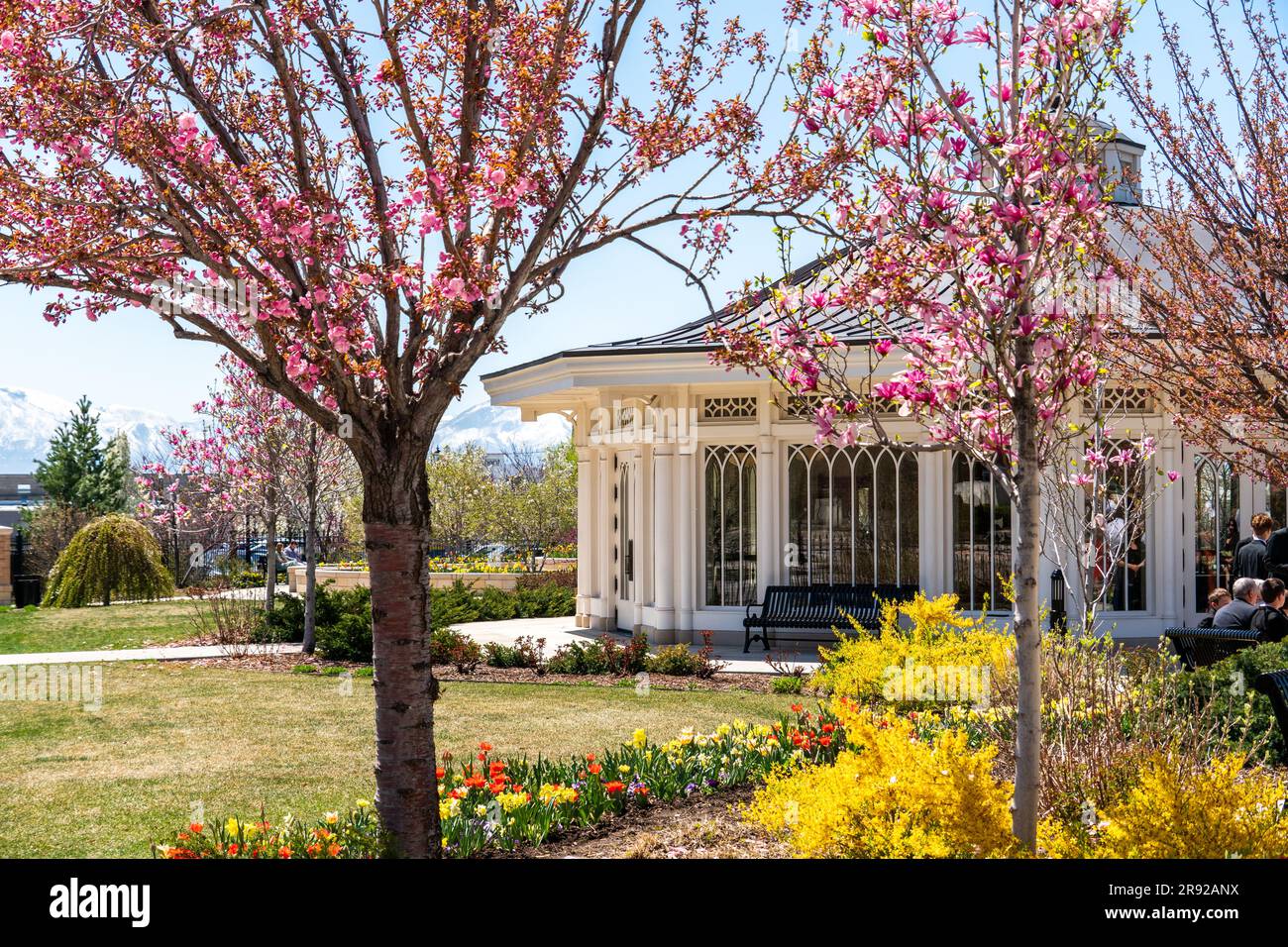 Passports and marriages hi-res stock photography and images - Alamy