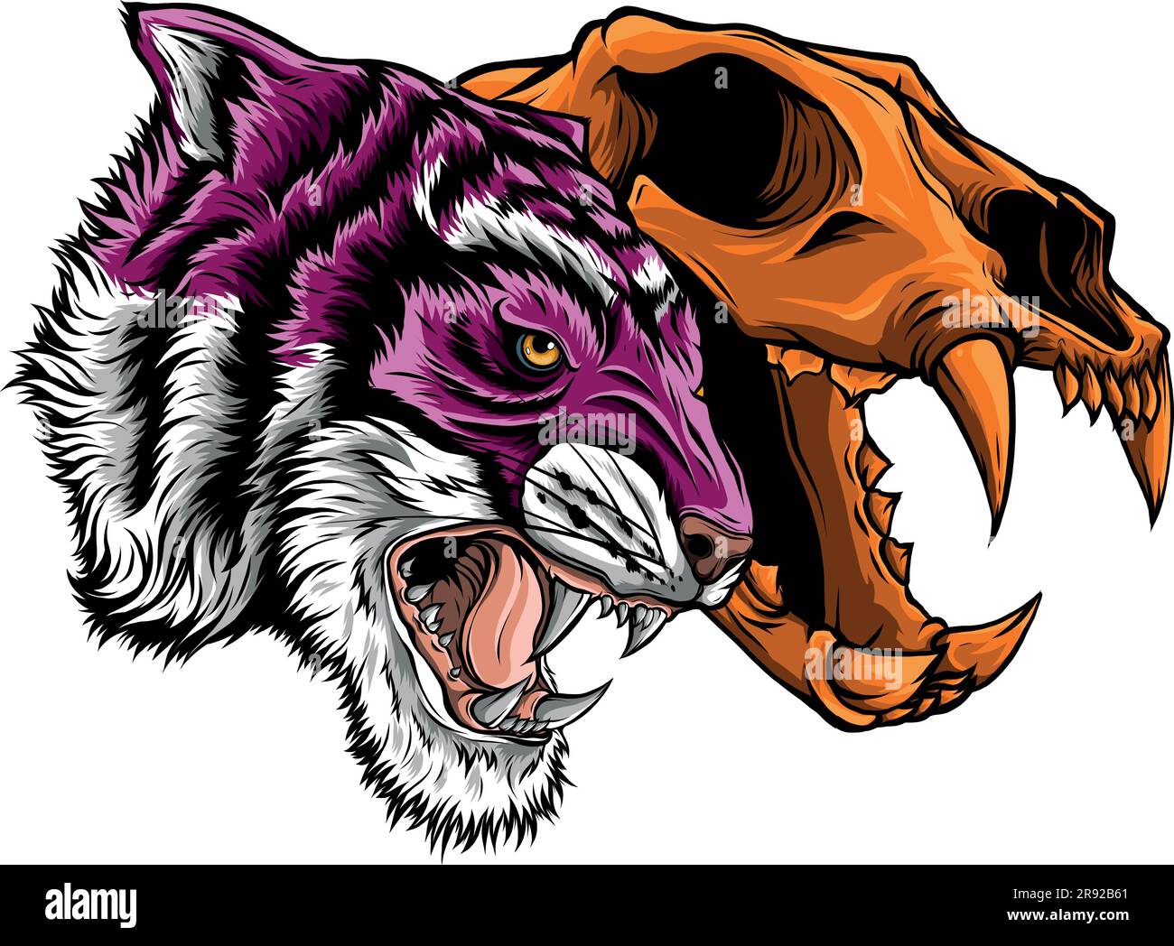 Tiger skeleton not sabre Stock Vector Images - Alamy