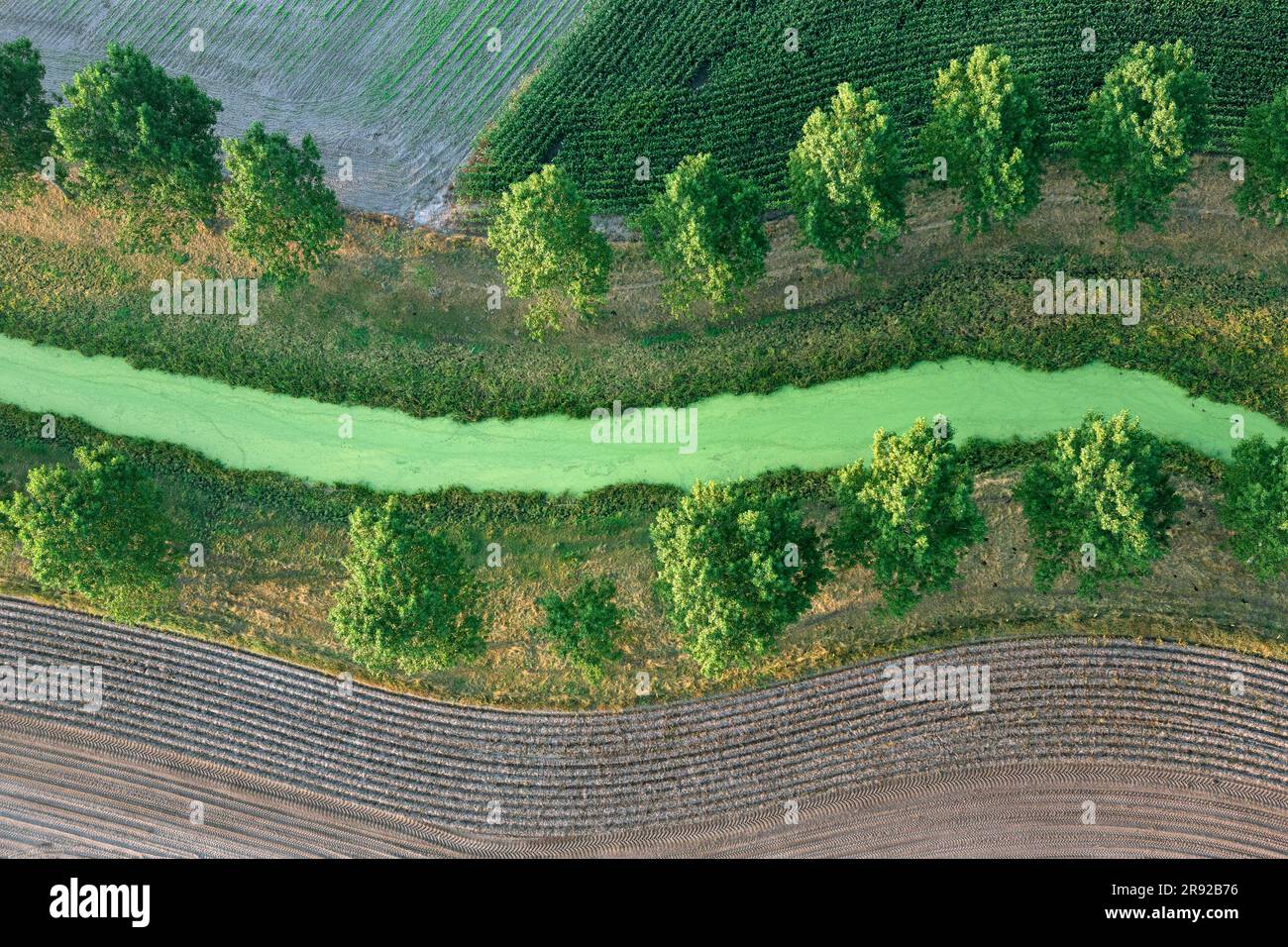 Les hydrophytes hi-res stock photography and images - Alamy
