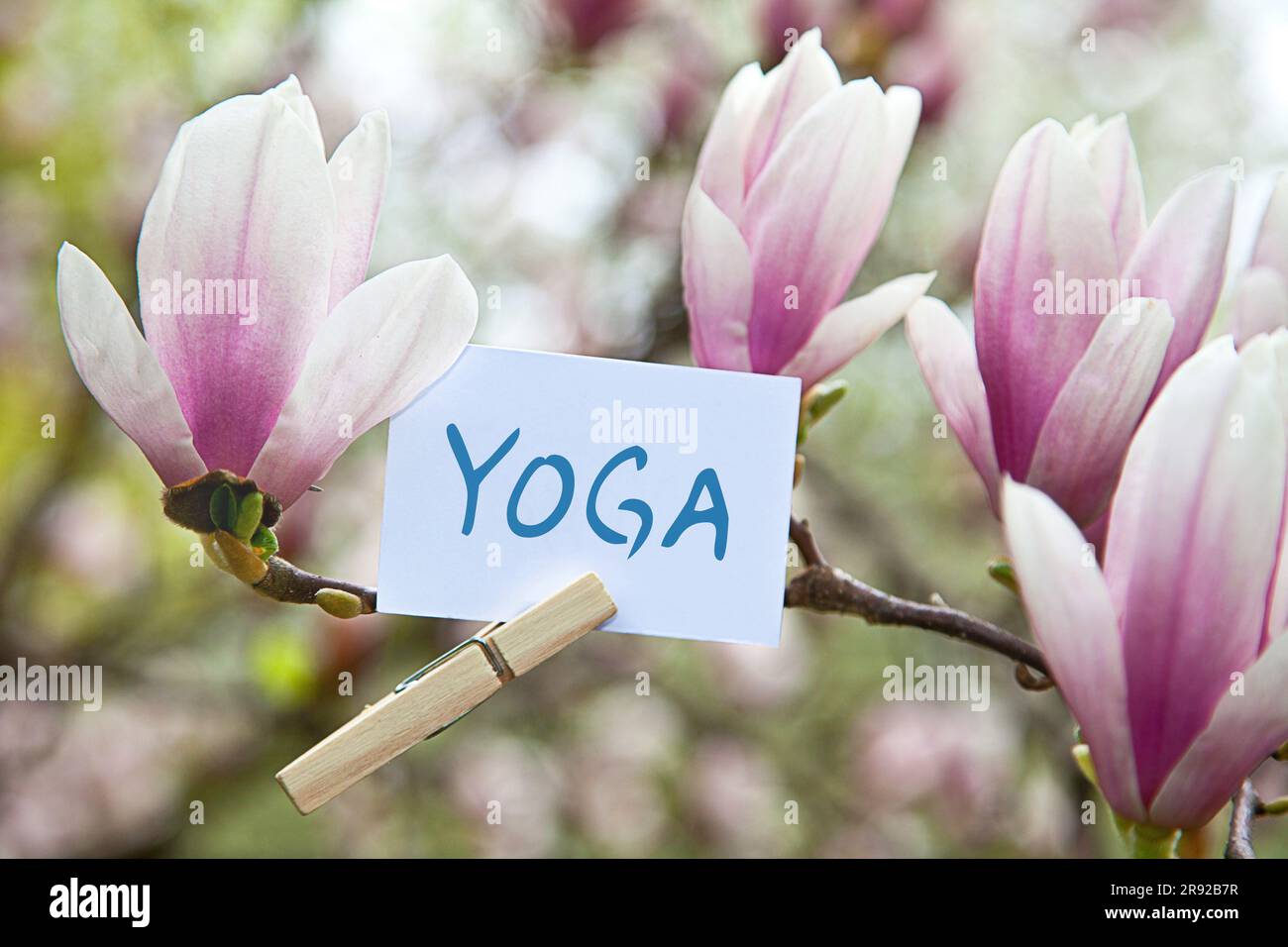 memo sheet at a Magnolia lettering YOGA Stock Photo - Alamy