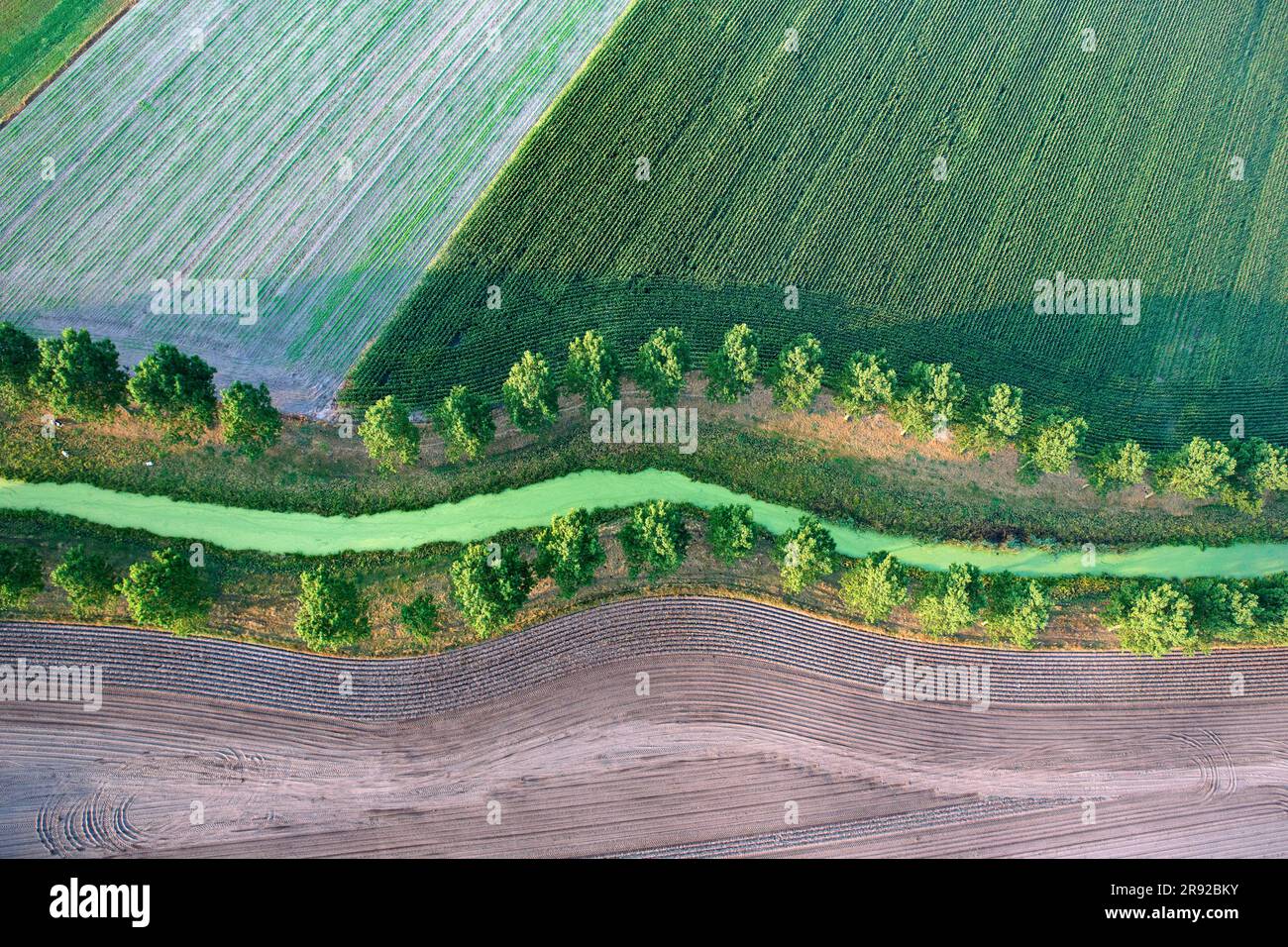 Les hydrophytes hi-res stock photography and images - Alamy