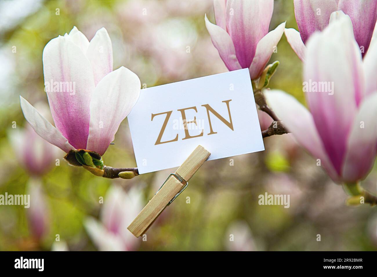 memo sheet at a Magnolia lettering ZEN Stock Photo - Alamy