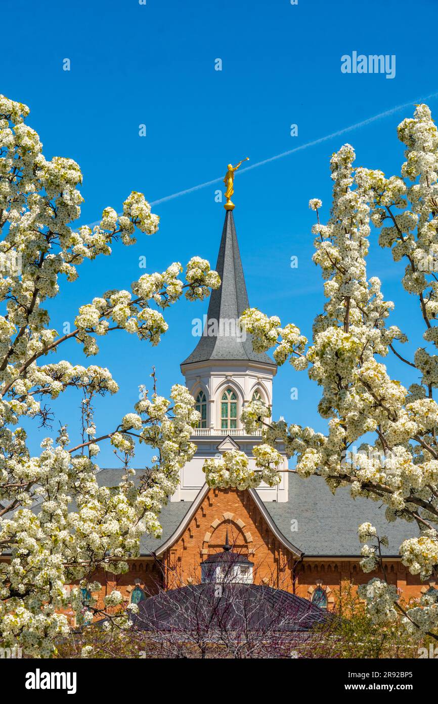 The Provo LDS temple Stock Photo - Alamy