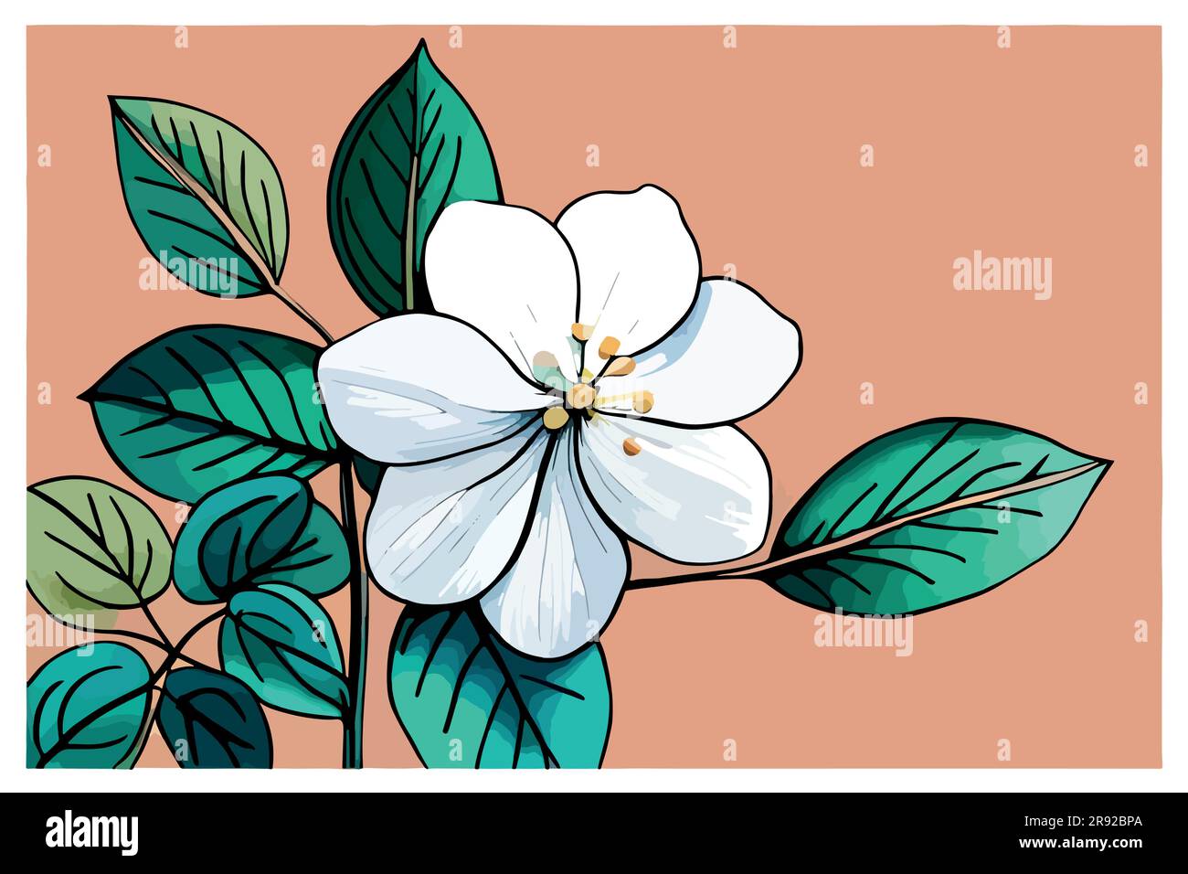 Blue jasmine Cut Out Stock Images & Pictures - Alamy