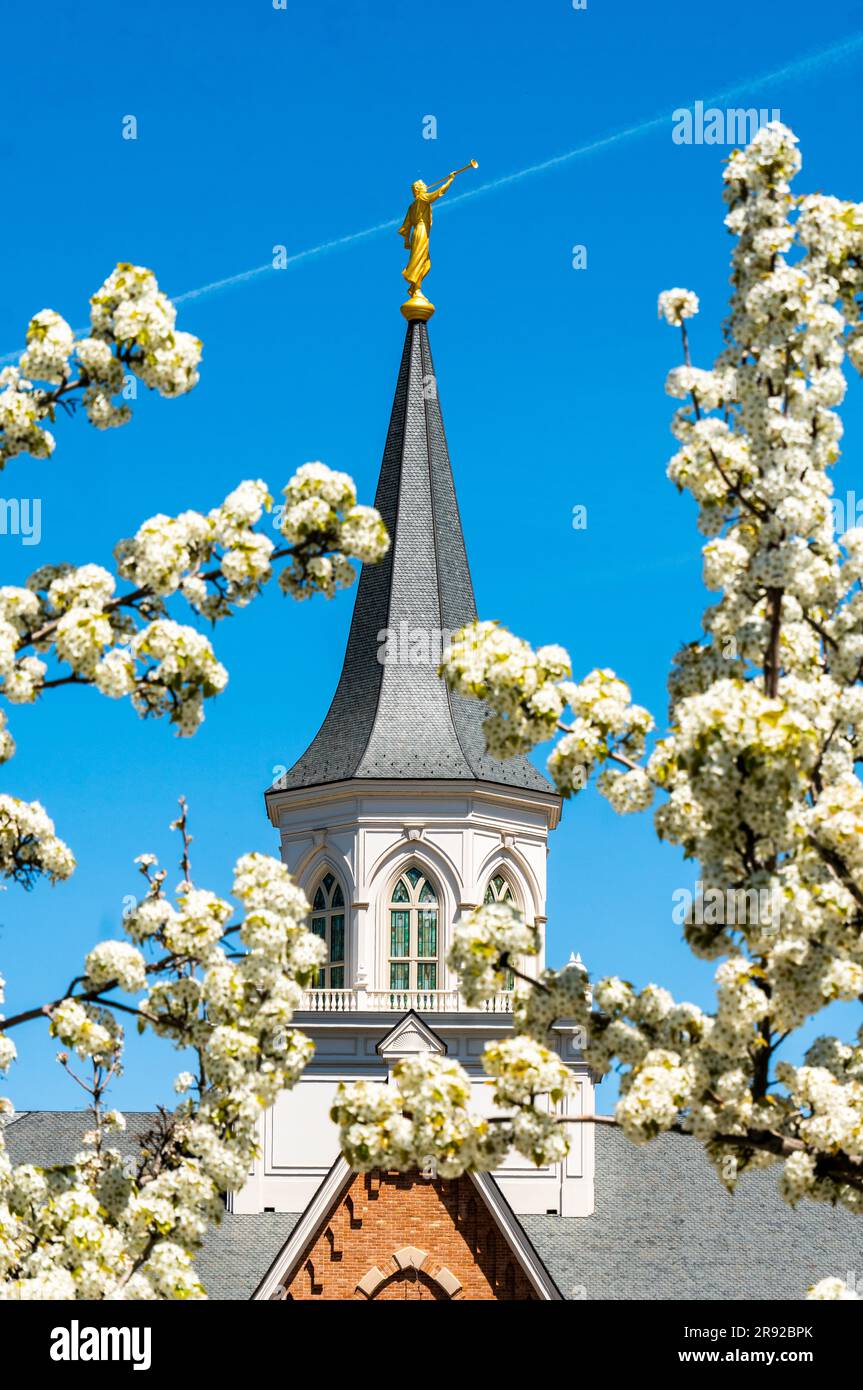 The Provo LDS temple Stock Photo - Alamy