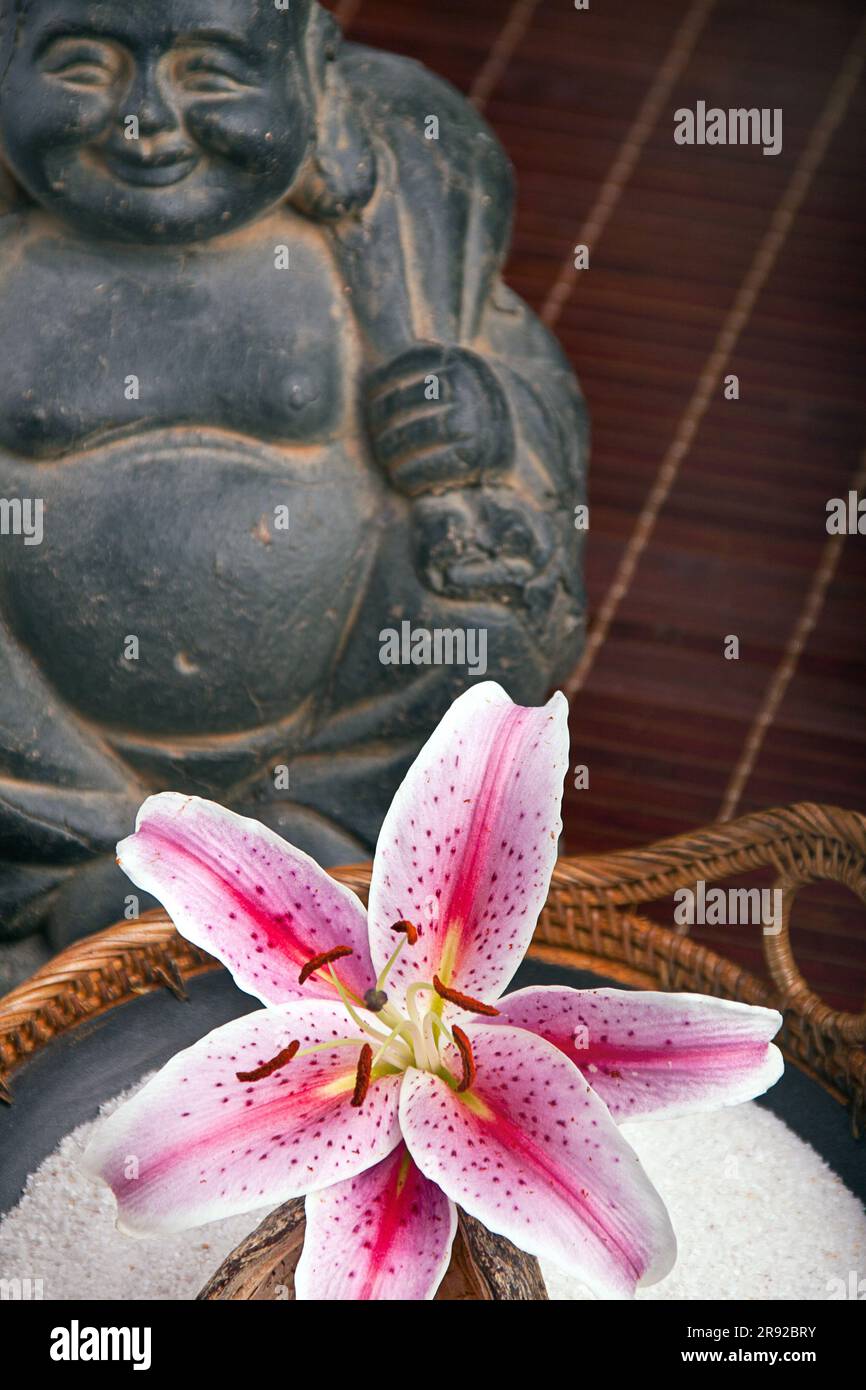 basket with lily blossom and Buddha statue Stock Photo - Alamy