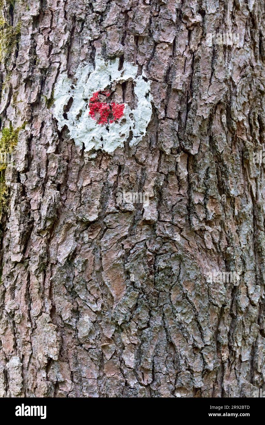 way marking at a bark, Germany, North Rhine-Westphalia Stock Photo - Alamy