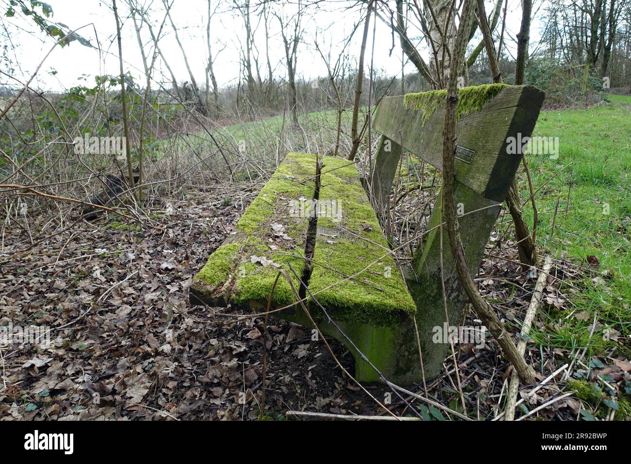 Bench nature hi-res stock photography and images - Alamy