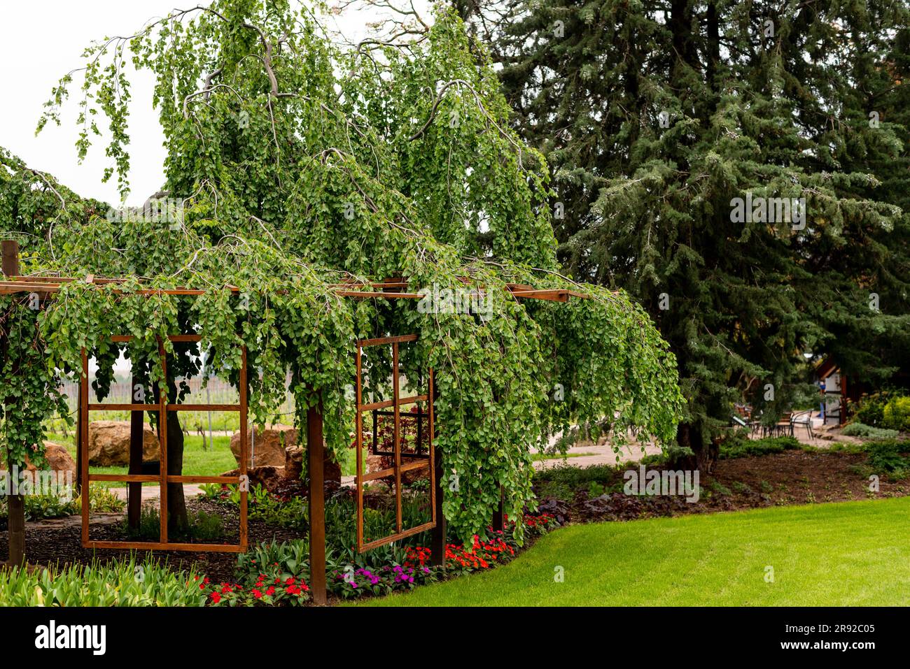 Green trees outside windows hi-res stock photography and images - Alamy