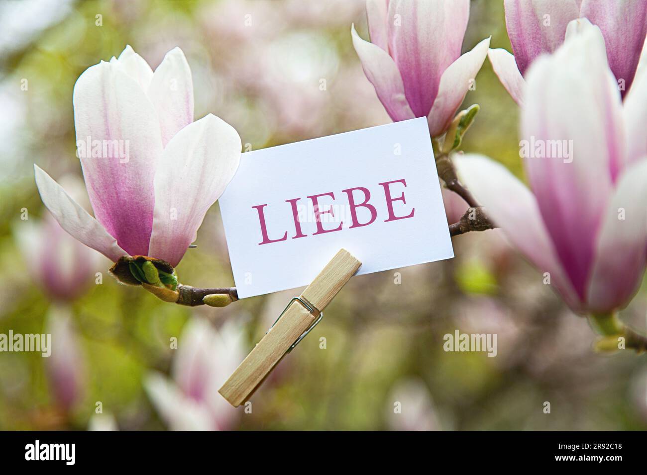 memo sheet at a Magnolia lettering LIEBE, love Stock Photo - Alamy