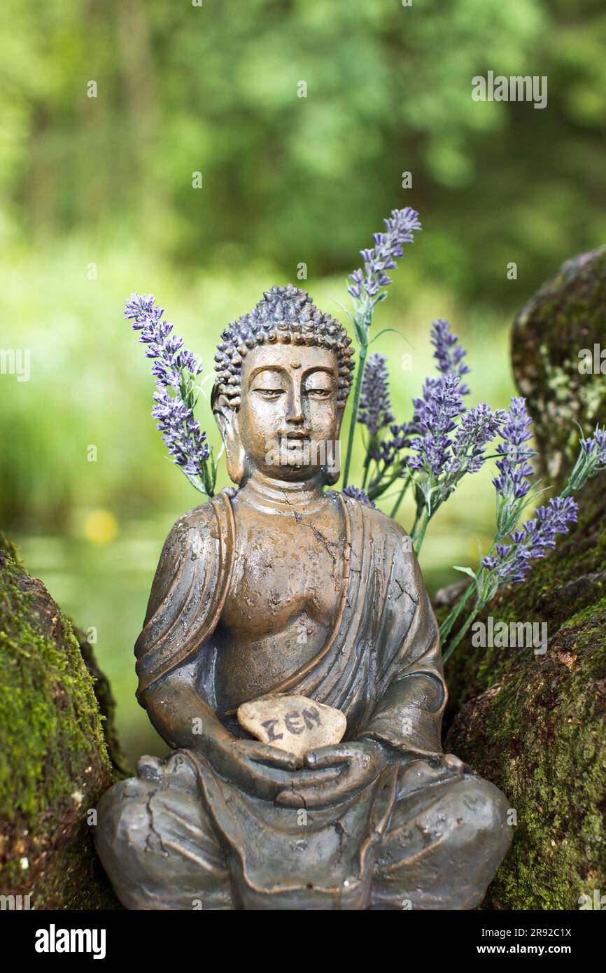 Buddha statue with lavender in the fork of a gnarled tree Stock Photo ...