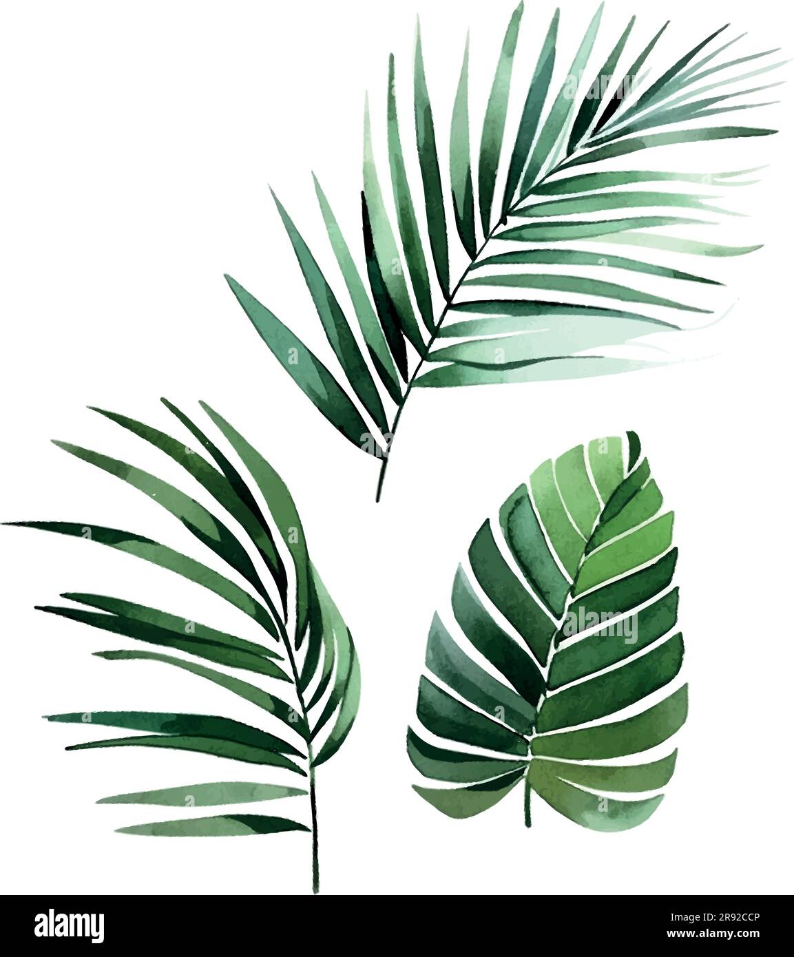 Modern exotic leave watercolor, great design for any purposes. Isolated ...