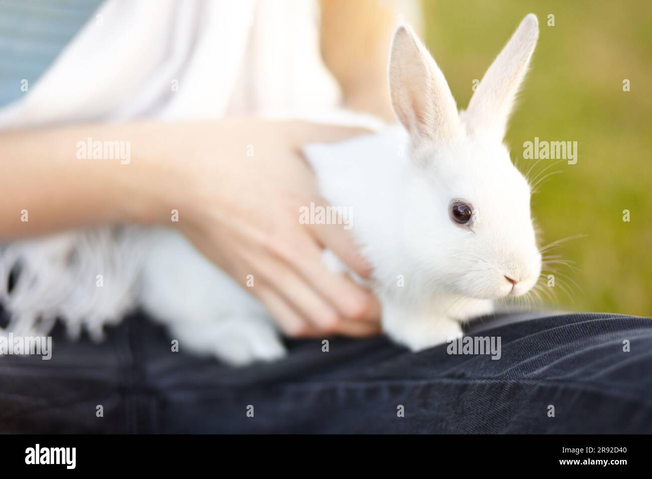Playing, hands and a child with a rabbit in nature for bonding ...
