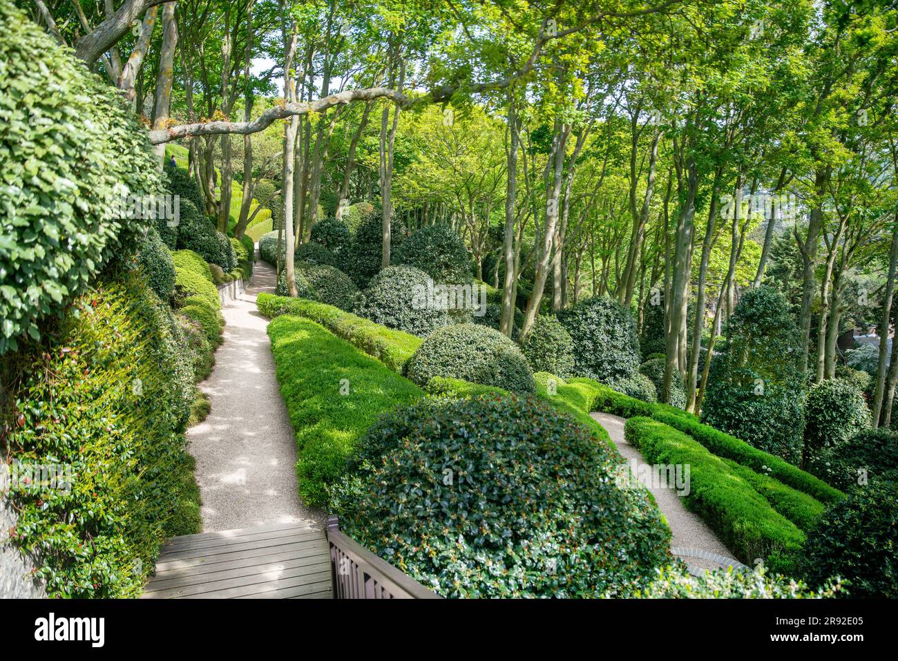 Topiary trees and bushes in Etretat gardens and sandy garden path ...