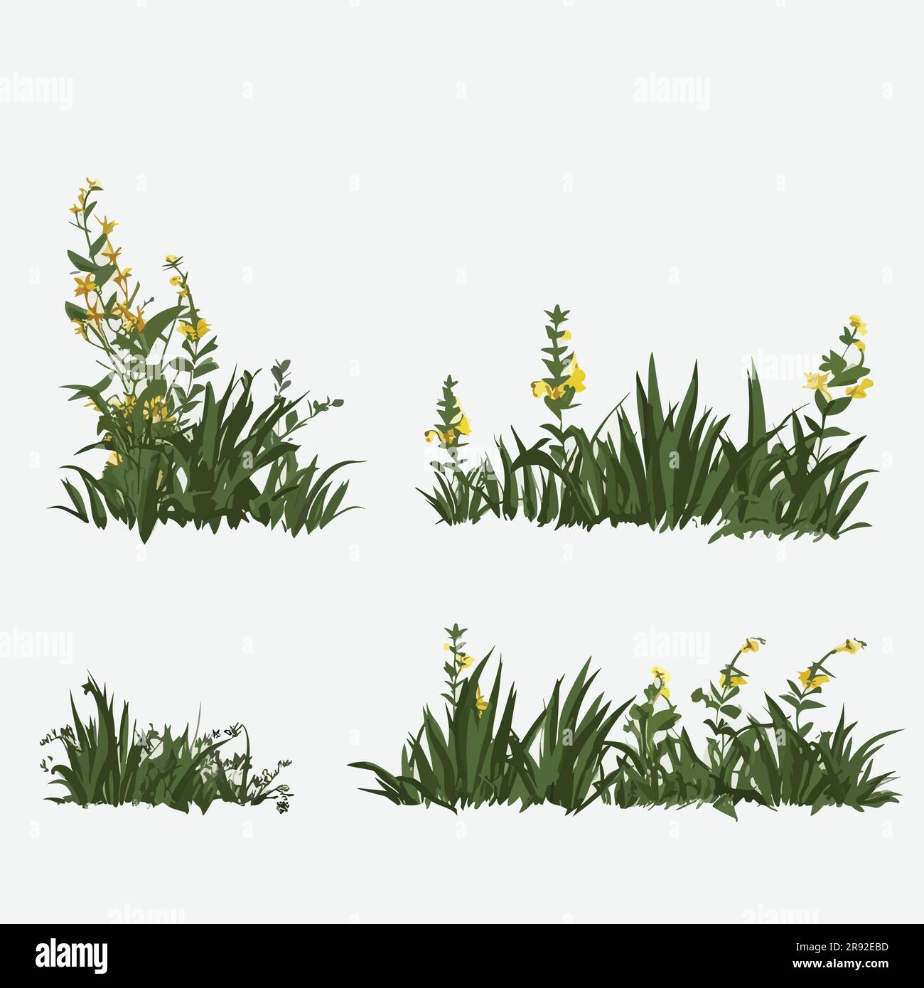 Botany vegetation Stock Vector Images - Alamy