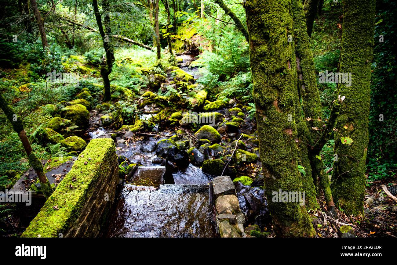 This stunning image captures the lush green landscape of a scenic ...