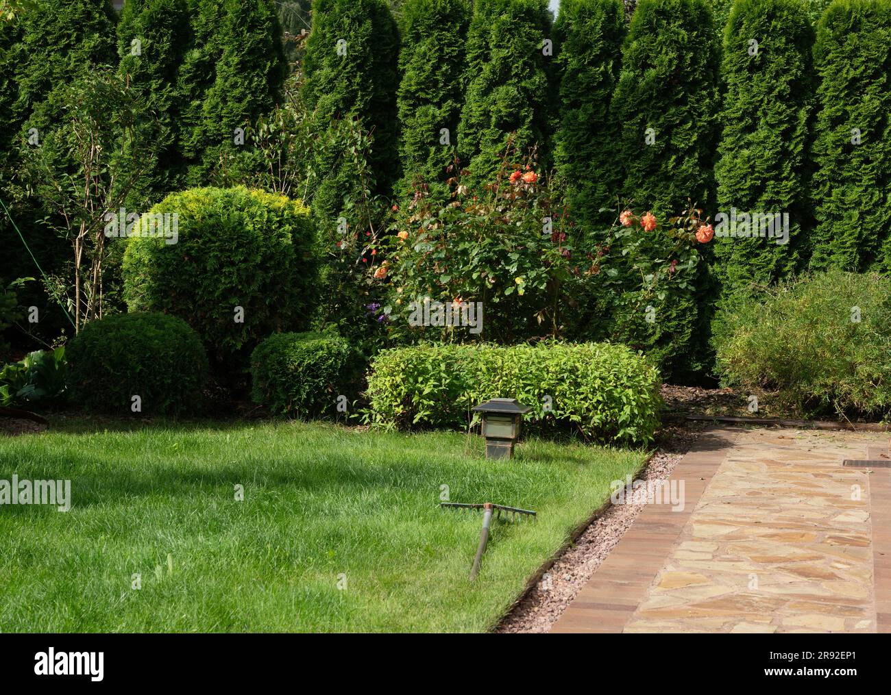 Cypress border hi-res stock photography and images - Alamy