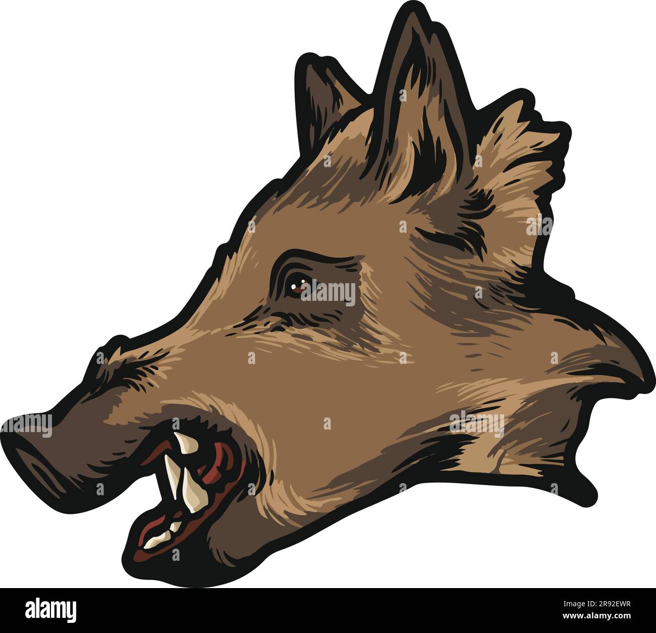 Wild Boar Face Drawing