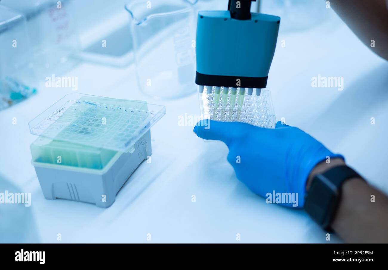 In vitro cellular assay using multi pipette and well plate cell culture ...