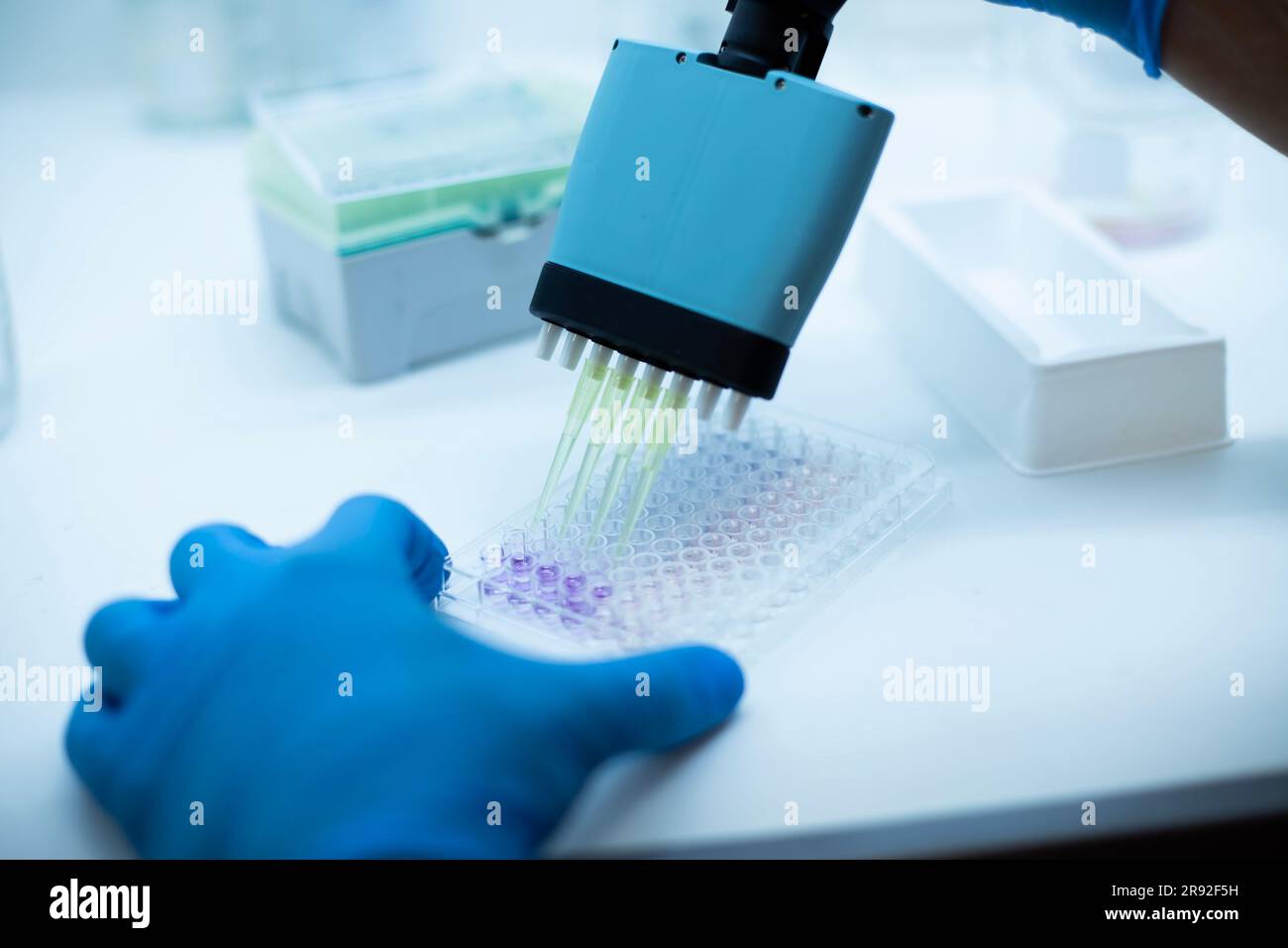 In vitro cellular assay using multi pipette and well plate cell culture ...