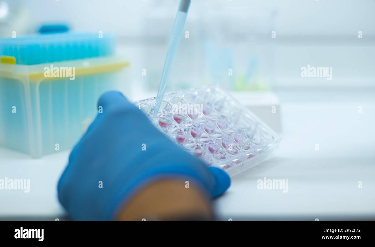 In vitro cellular assay using multi pipette and well plate cell culture ...