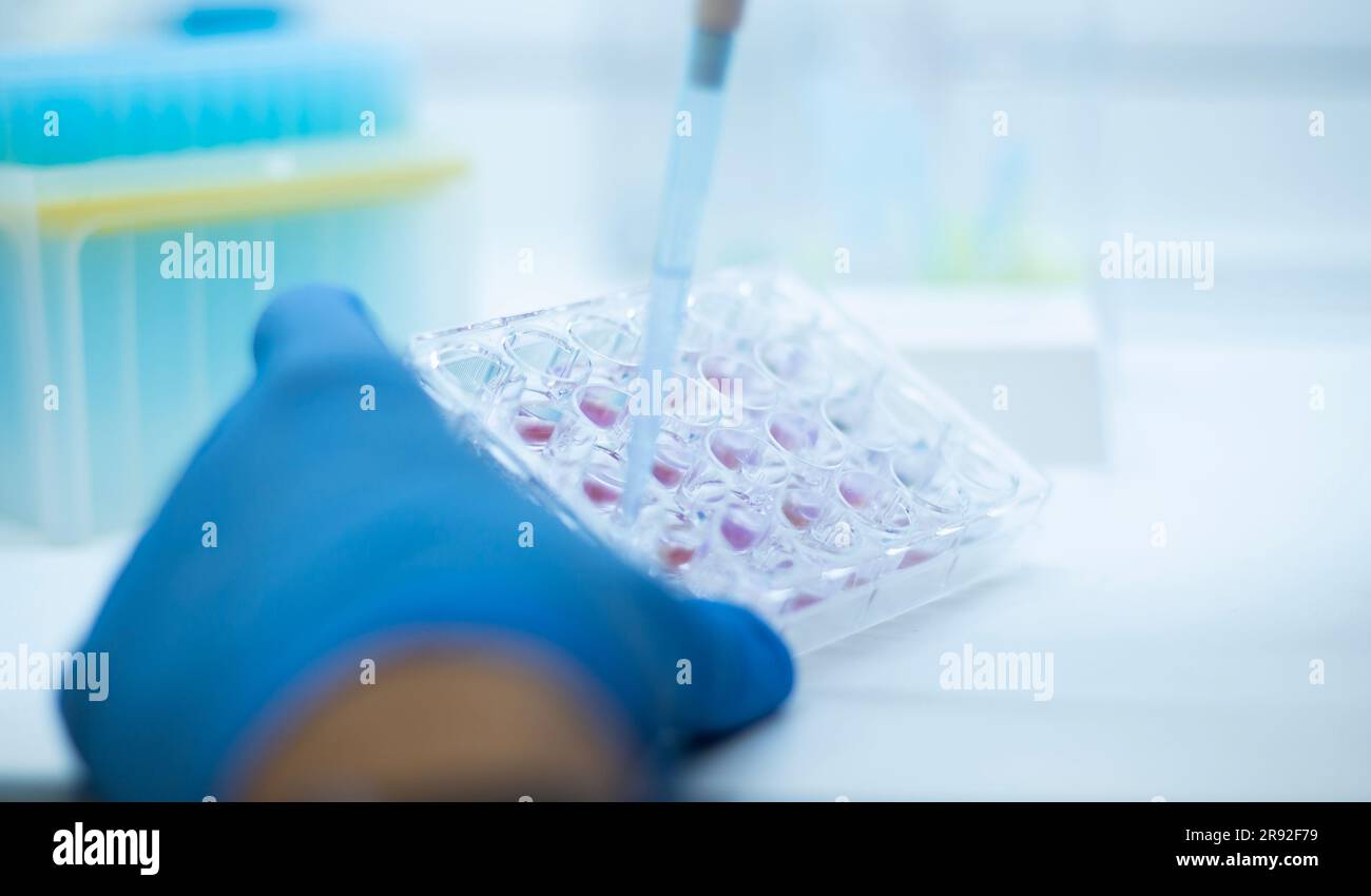 In vitro cellular assay using multi pipette and well plate cell culture ...