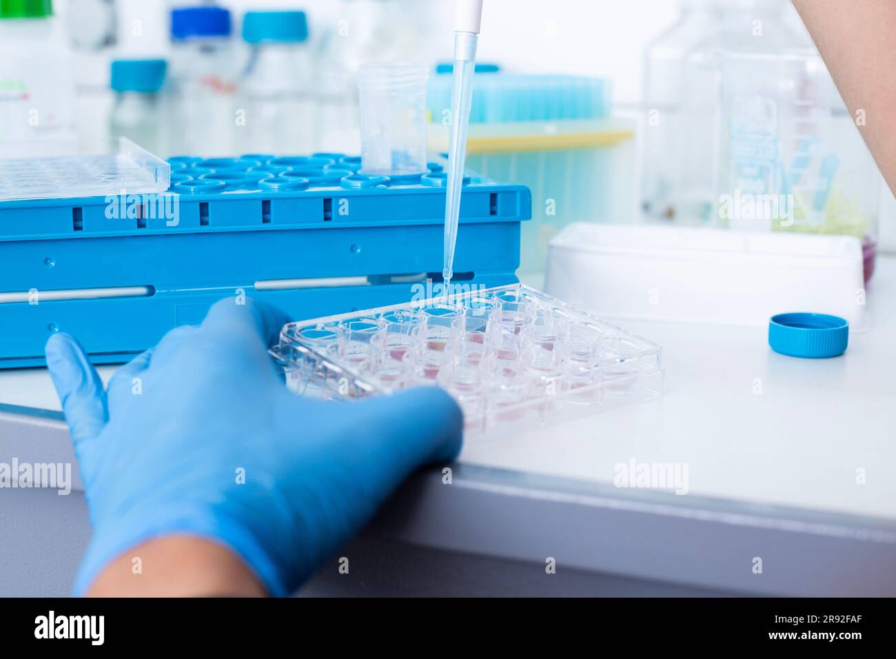 In vitro cellular assay using multi pipette and well plate cell culture ...