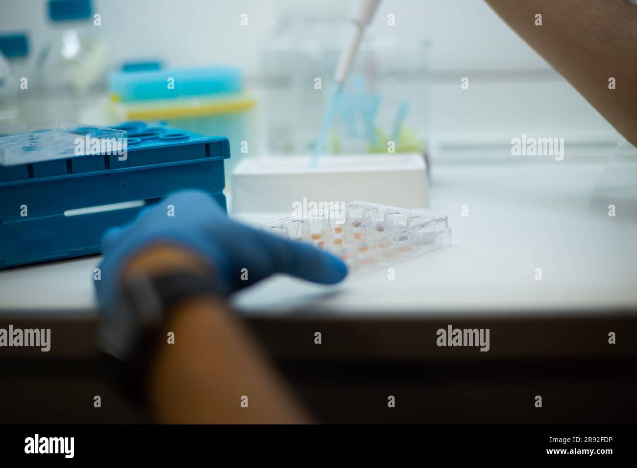 In vitro cellular assay using multi pipette and well plate cell culture ...