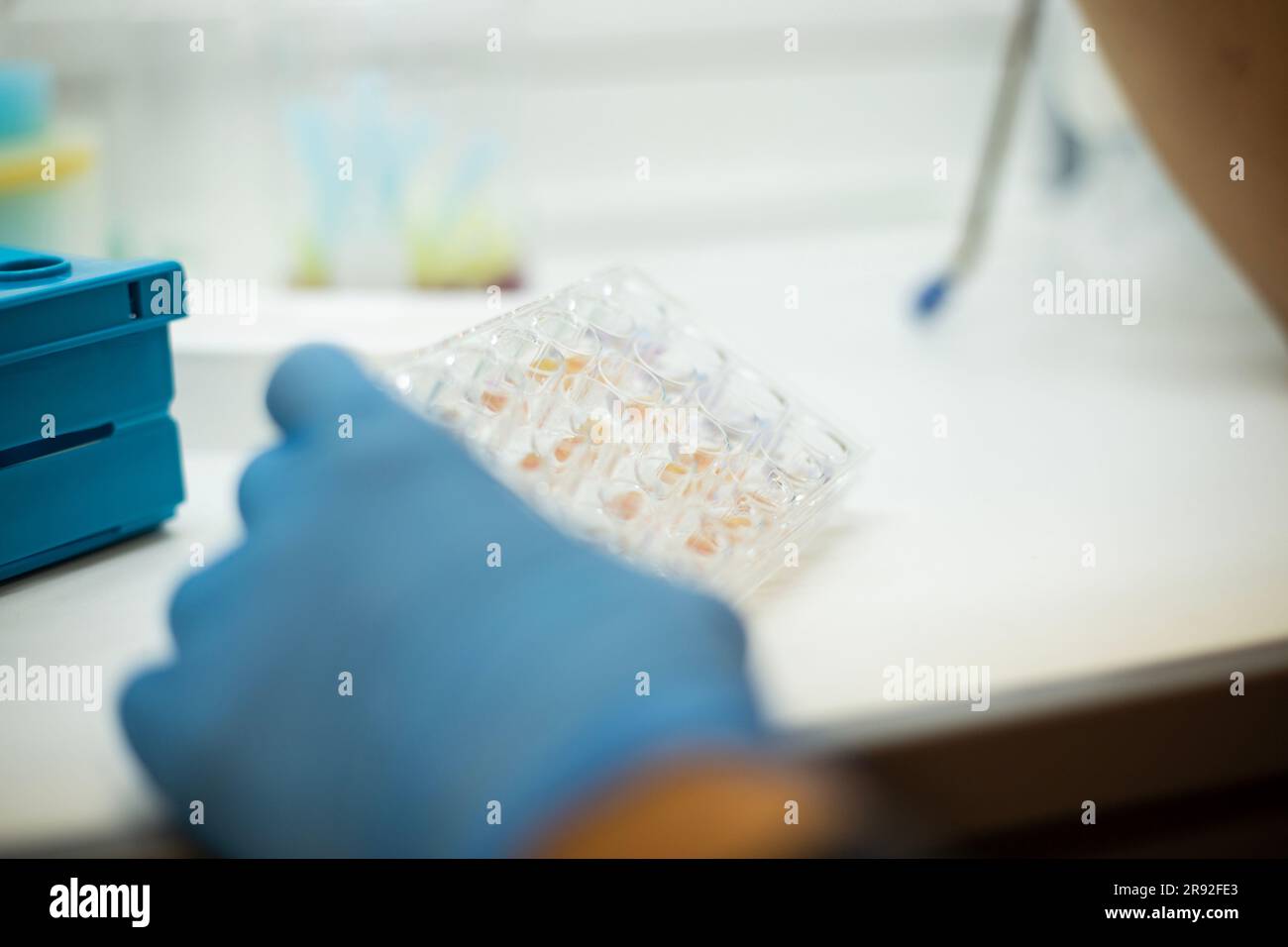 In vitro cellular assay using multi pipette and well plate cell culture ...