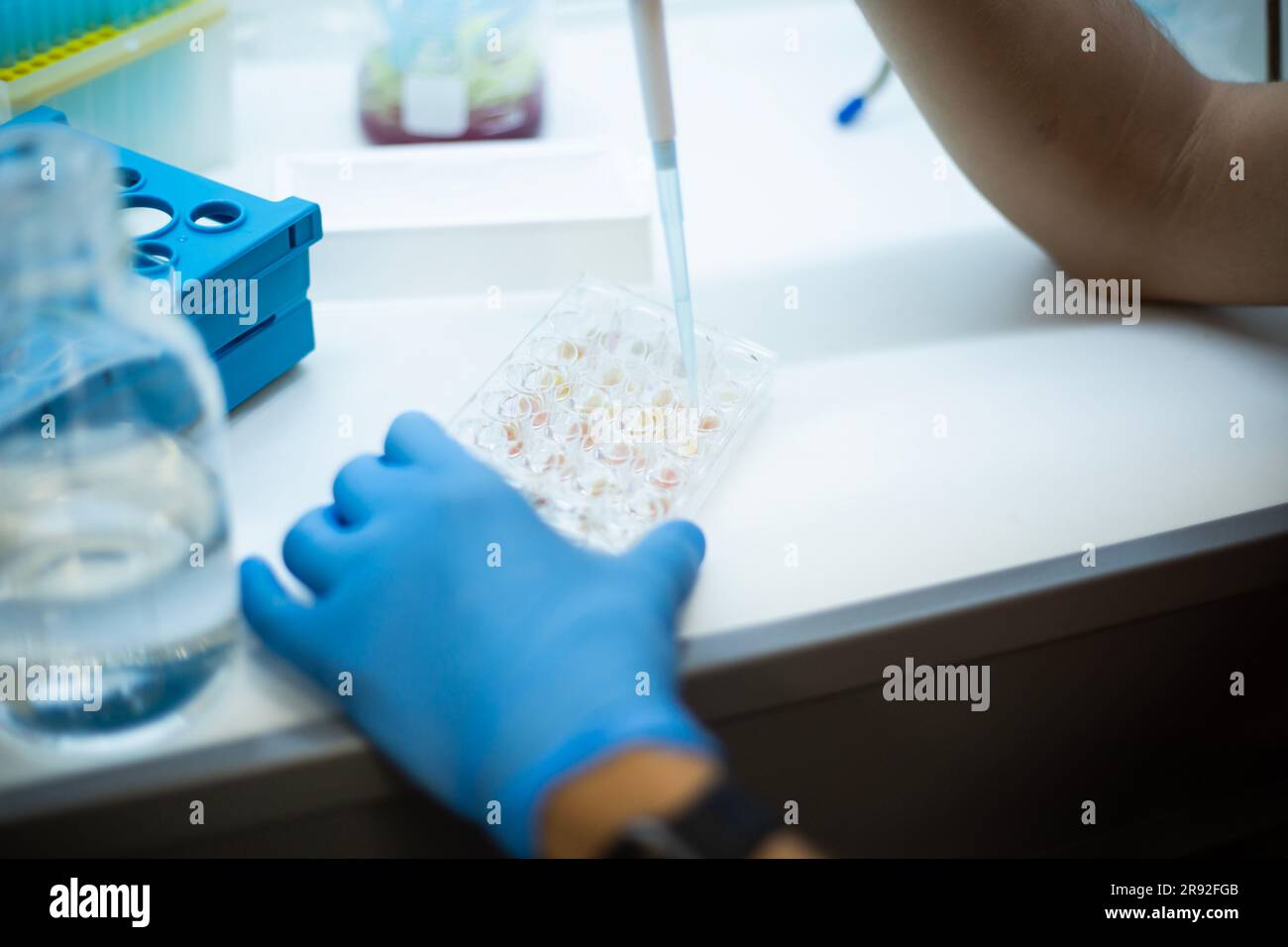 In vitro cancer research hi-res stock photography and images - Alamy