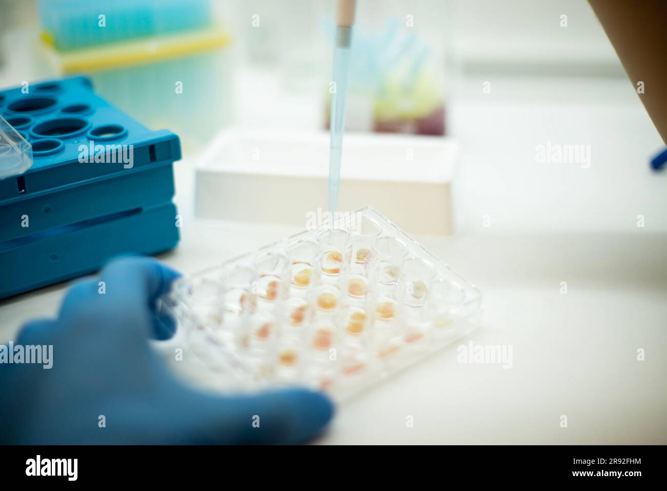 In vitro cellular assay using multi pipette and well plate cell culture ...