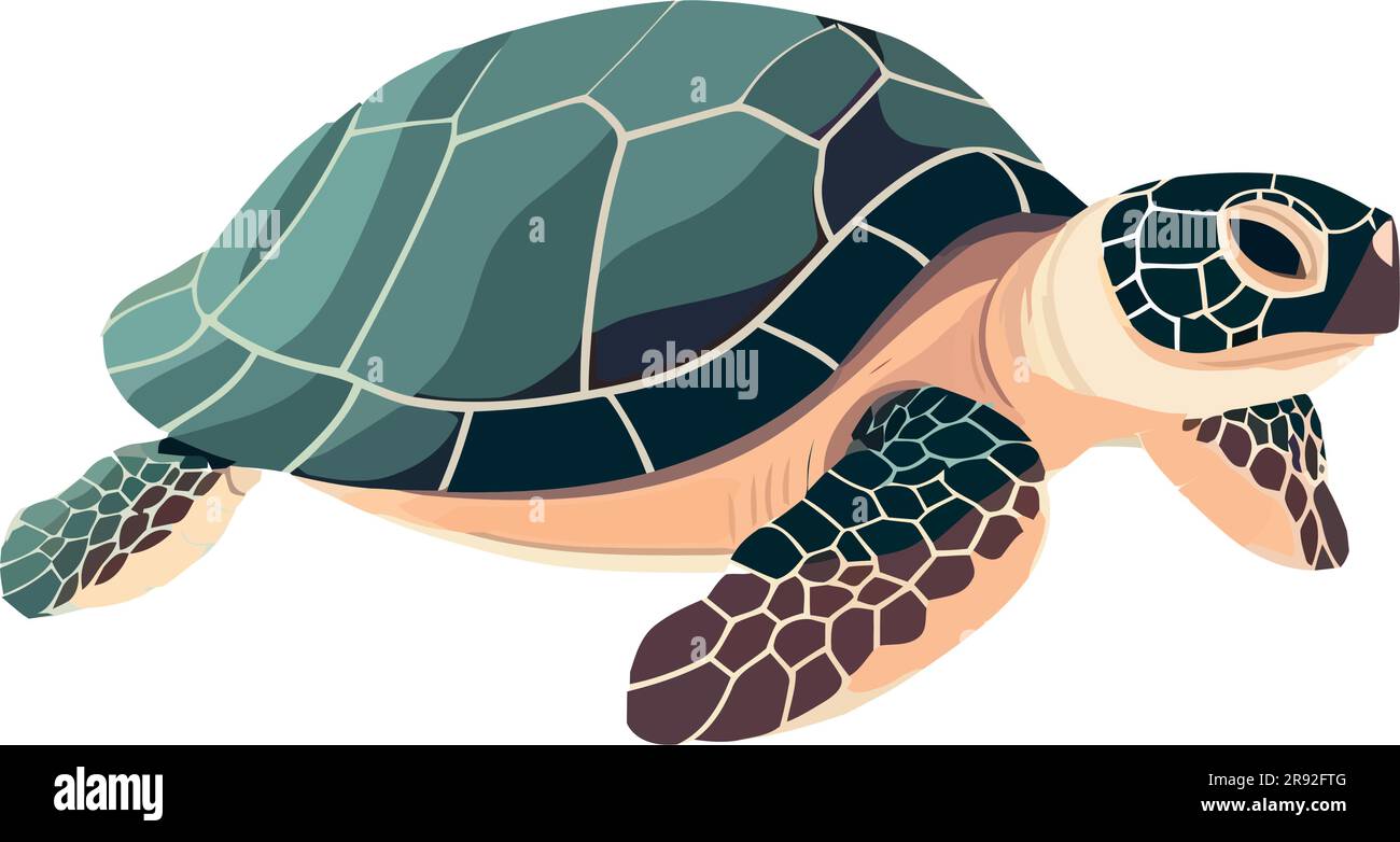 Cute turtle with green shell Stock Vector Image & Art - Alamy