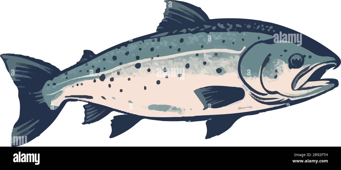 Fresh trout catch, gourmet seafood meal Stock Vector Image & Art - Alamy