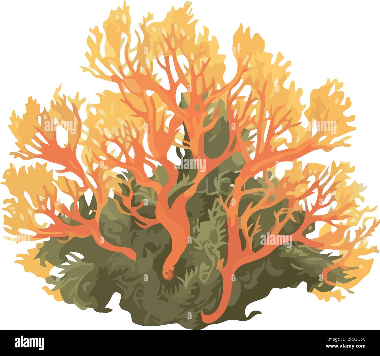Underwater reef ,coral, and seaweed shapes Stock Vector Image & Art - Alamy