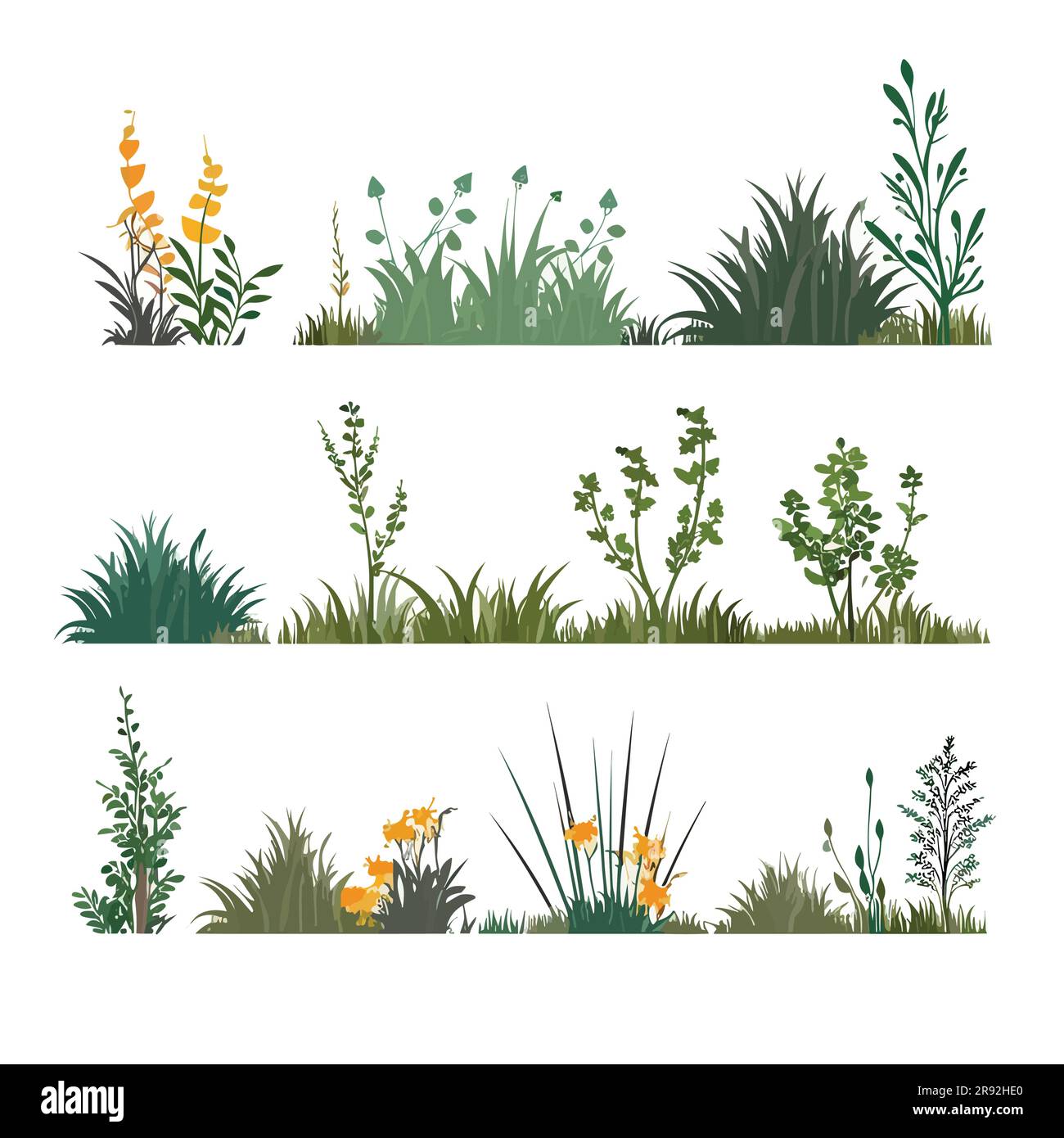 Vegetation vector vectors Cut Out Stock Images & Pictures - Alamy