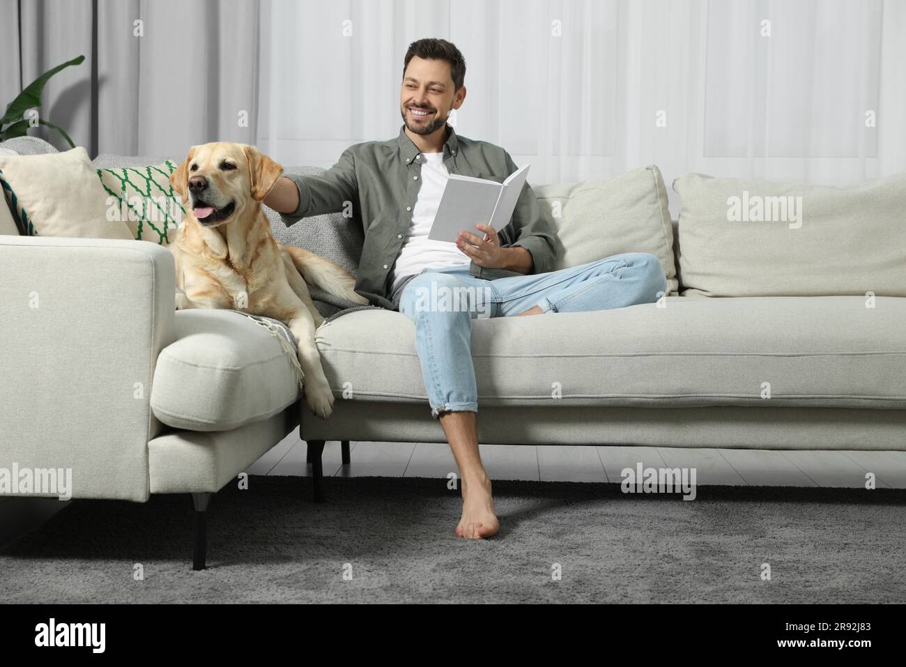 Labrador reading hi-res stock photography and images - Alamy