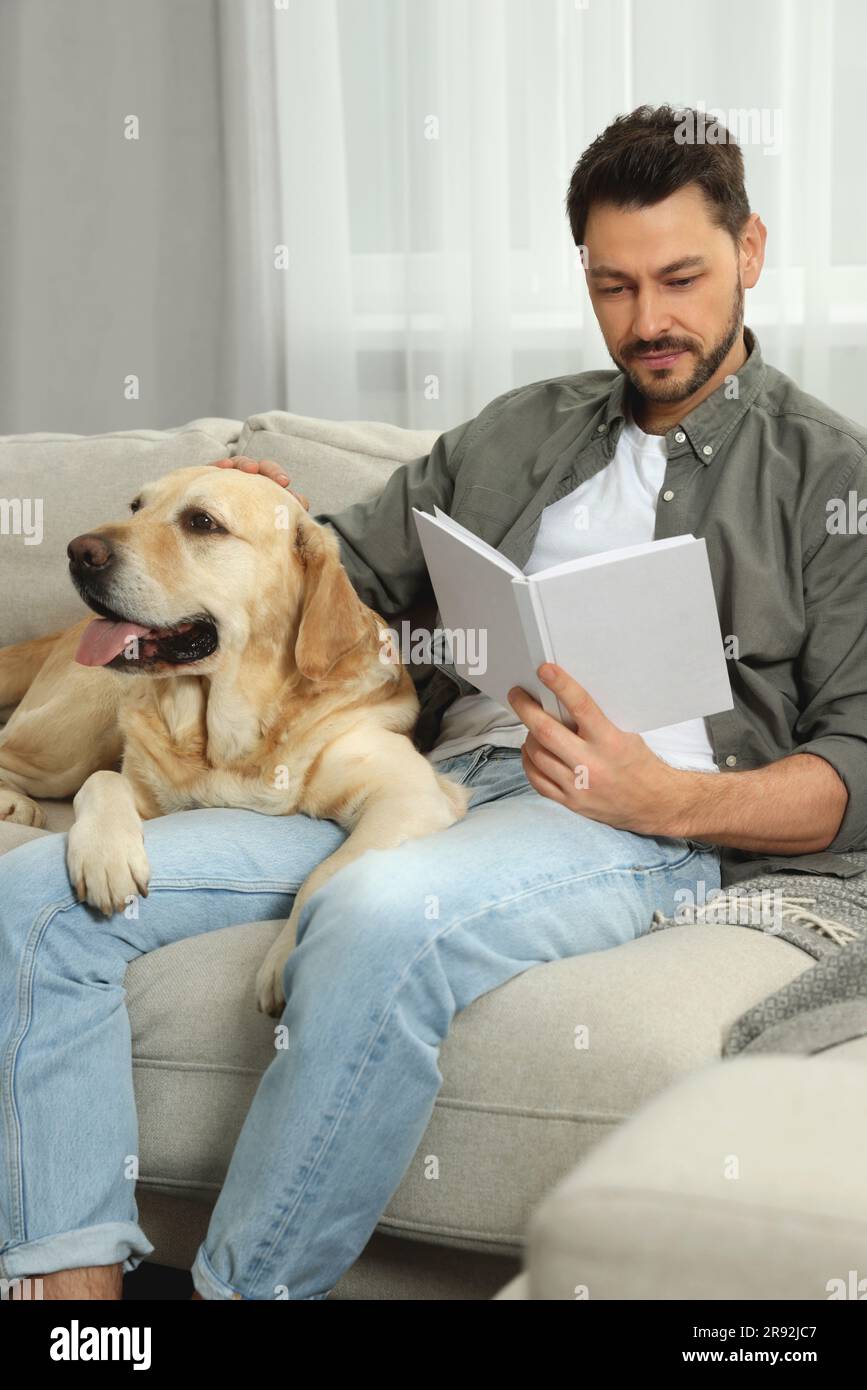 Labrador reading hi-res stock photography and images - Alamy