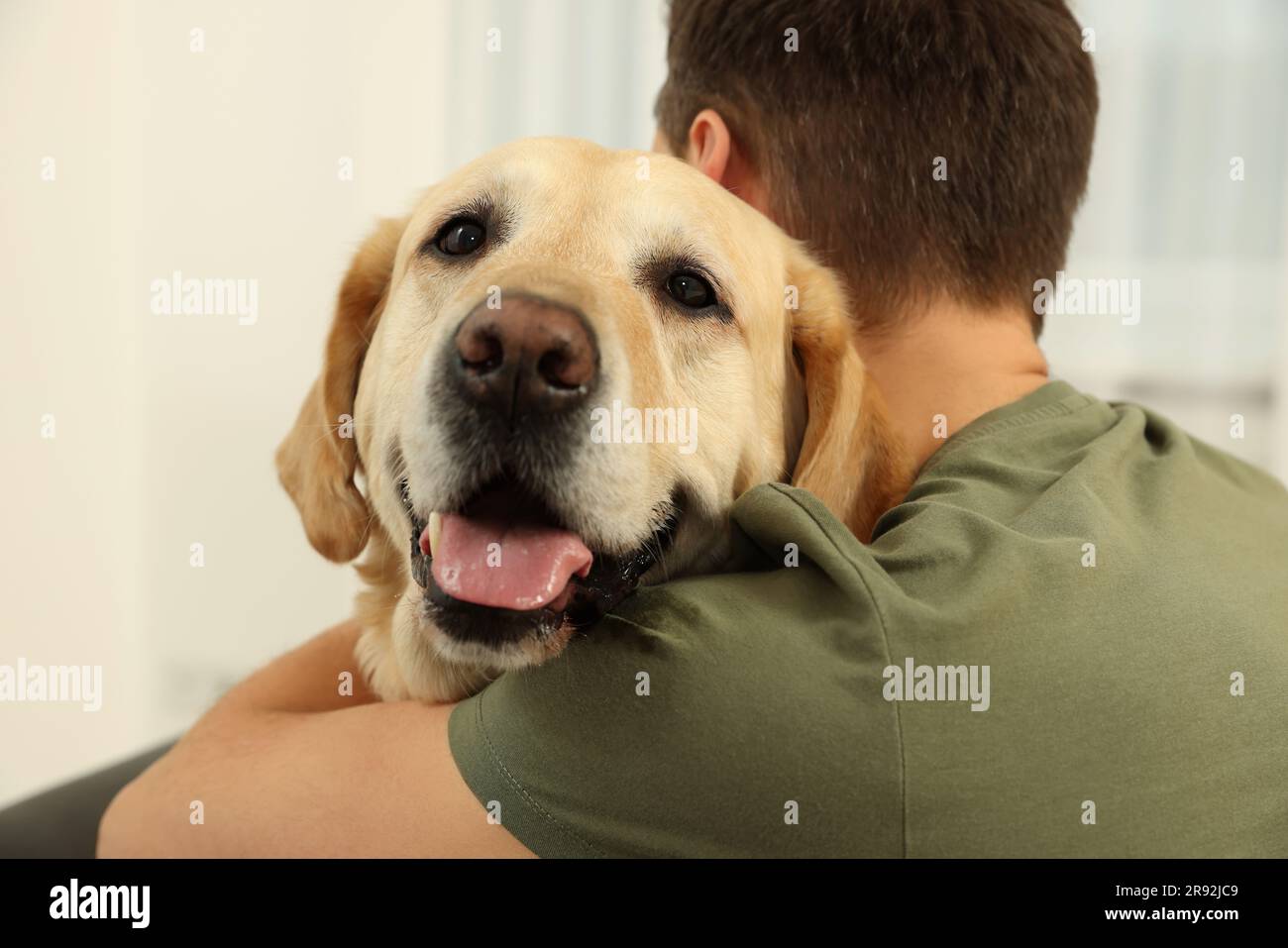 Back view of man and doggy hi-res stock photography and images - Alamy